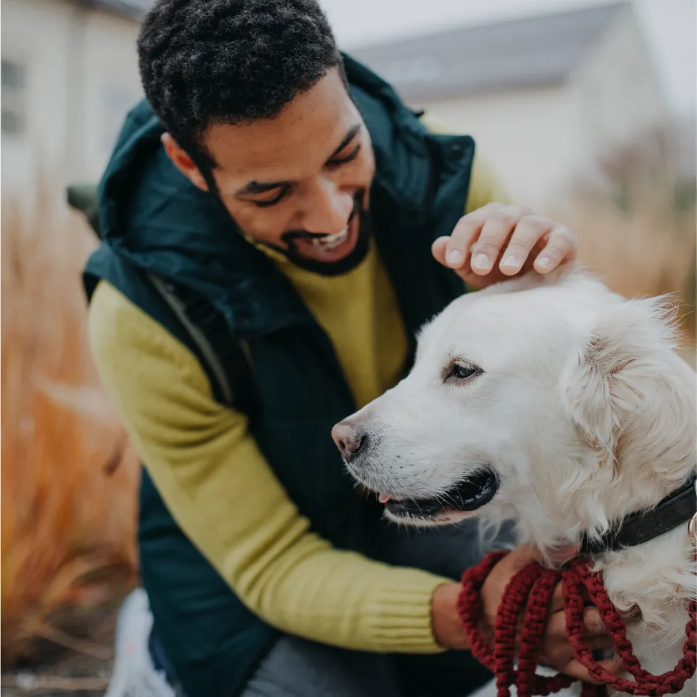 Our Canine Connection: The History, Benefits and Future of Human-Dog ...