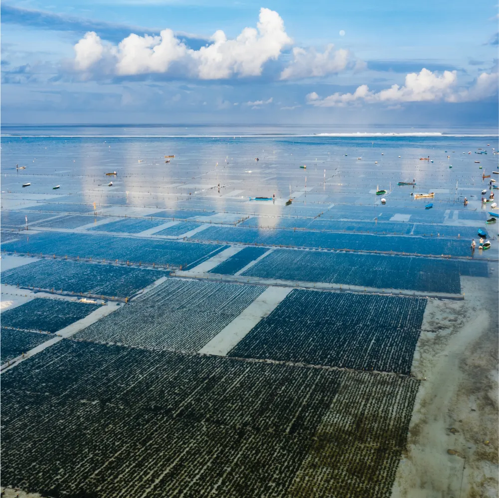 Blue Economy and Ocean Sustainable Development in a Globalised World ...